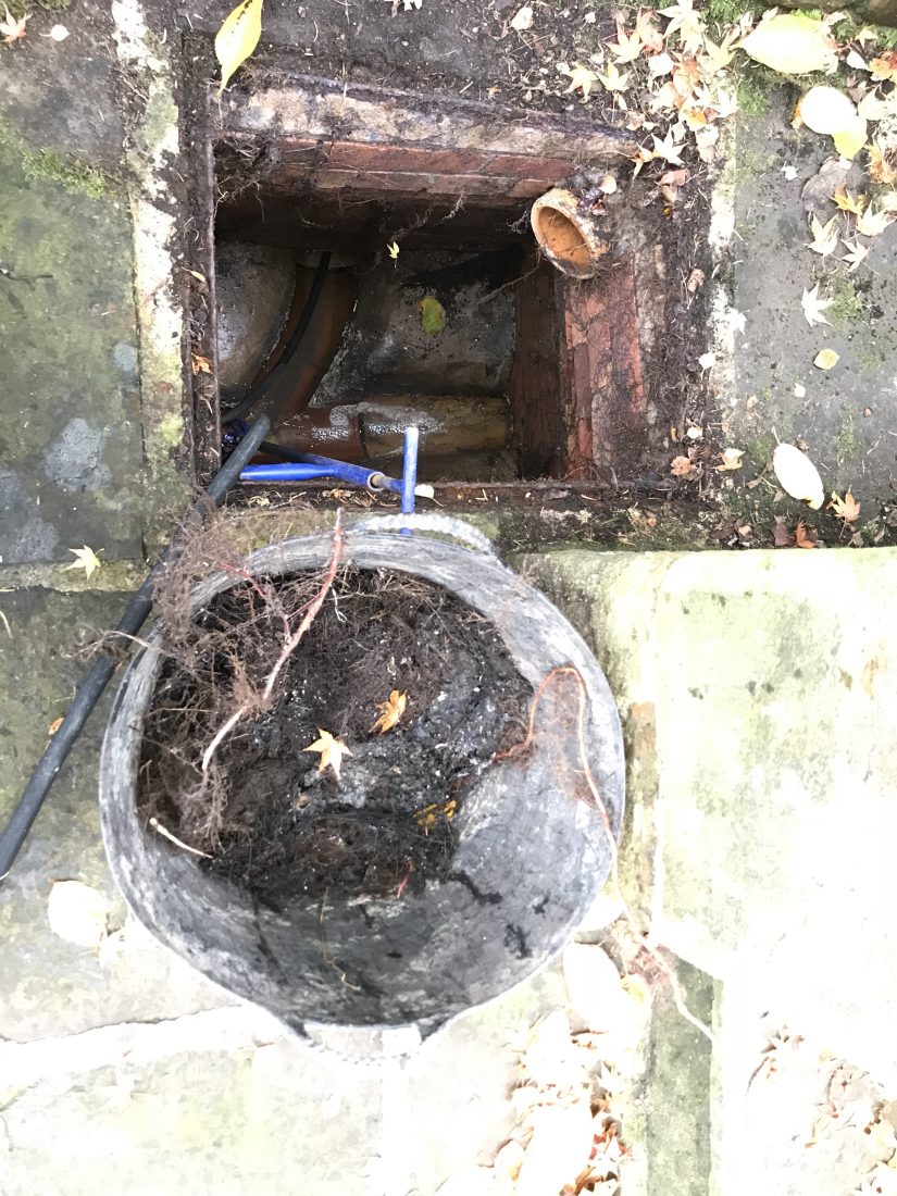 Drain root intrusion | Envirojet